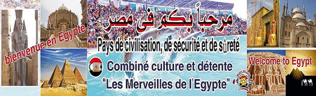 Memphis | Shipping Agencies